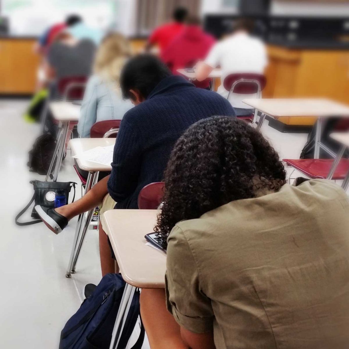 Our unique approach - Student Advocacy